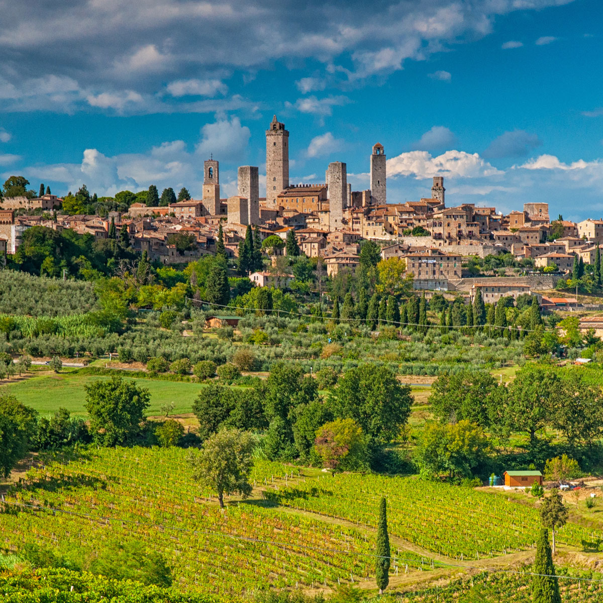 Siena | Villas in Med